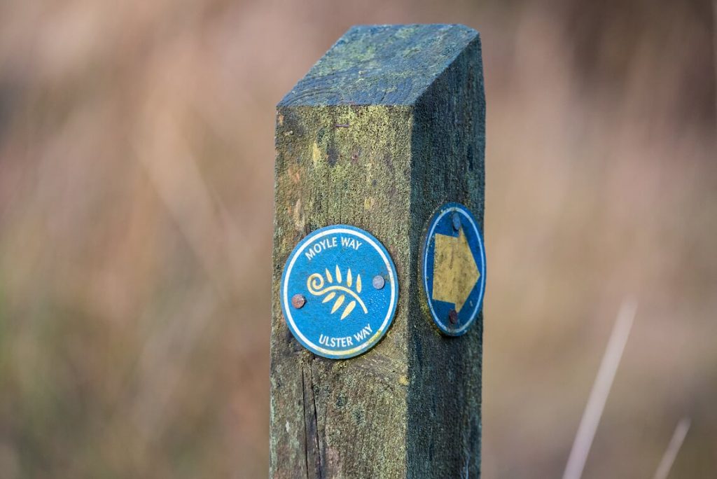 Visiting Slieveanorra Forest - Trek NI