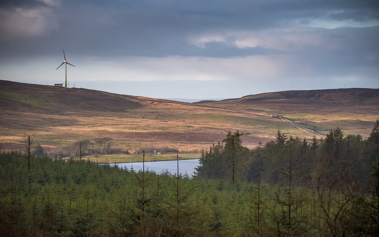 Visiting Slieveanorra Forest - Trek NI