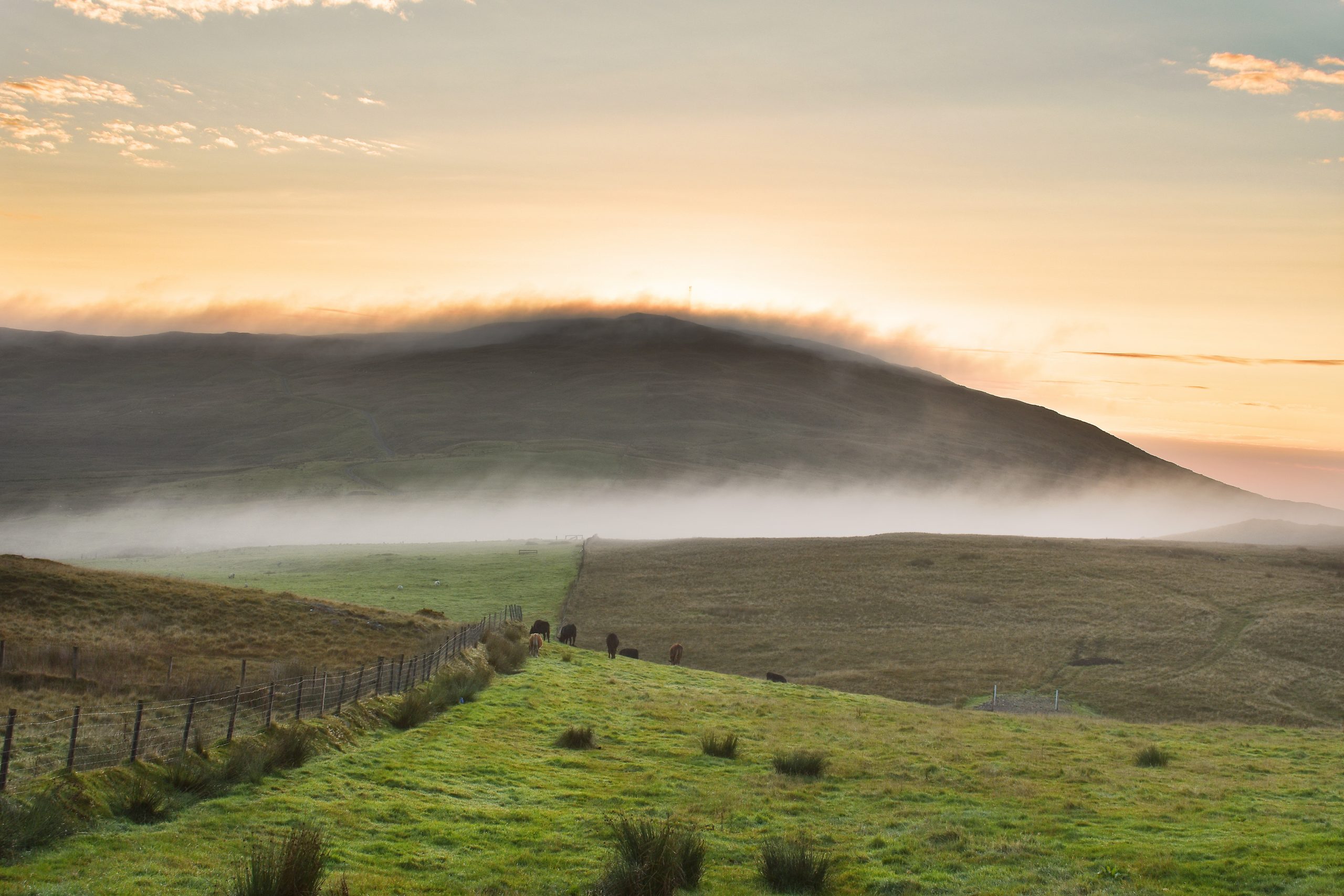 Slieve Croob: the summit for all seasons - Trek NI