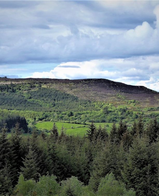 Derek Flack - Trek NI