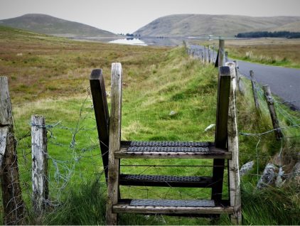 Review: Banshee 200 Pro Tent - Trek NI