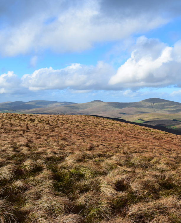 'Park in the Sperrins': a stunning new photography book by Patrick ...