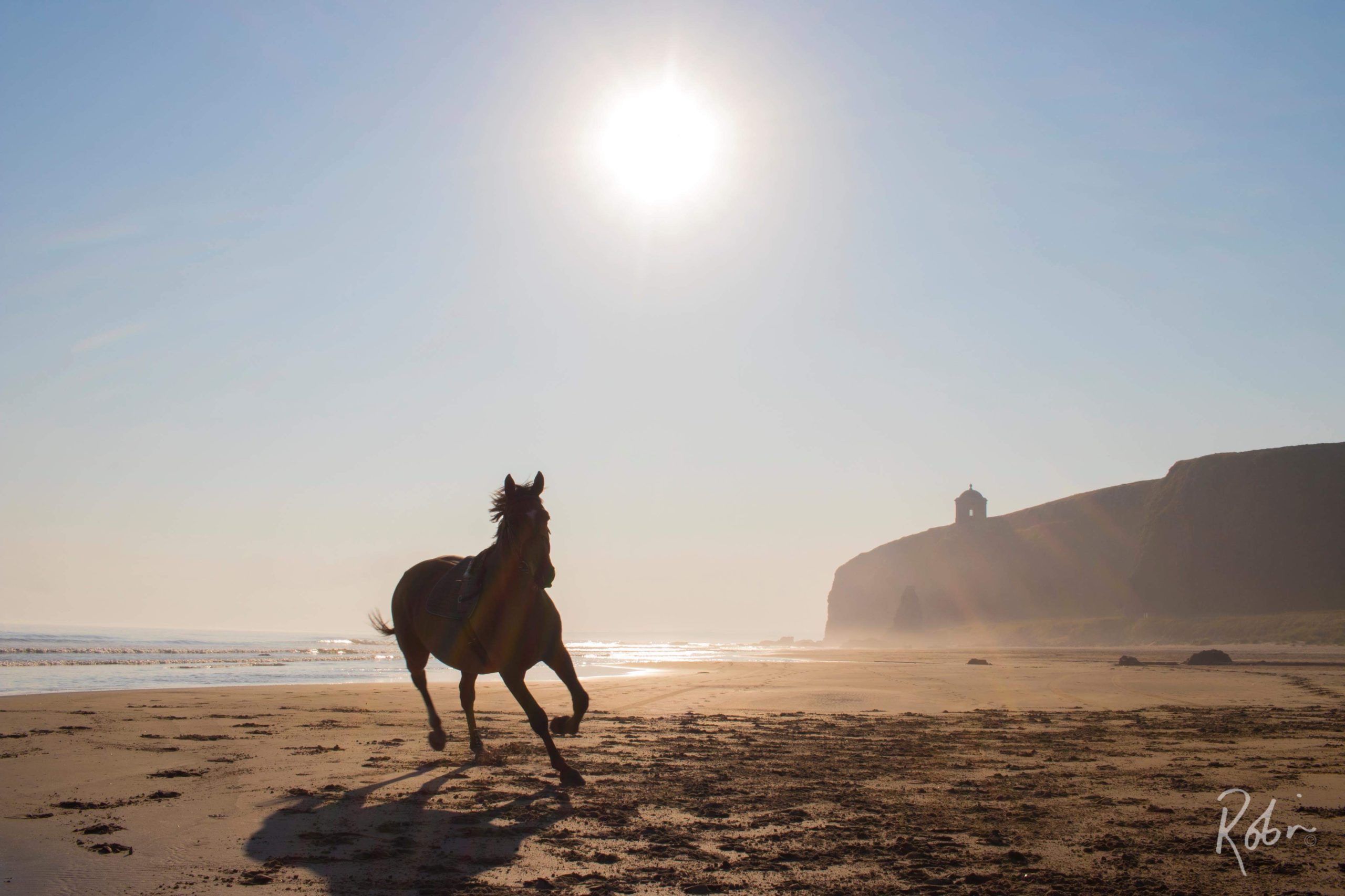 Robin Quigley: What I pack in my camera bag - Trek NI