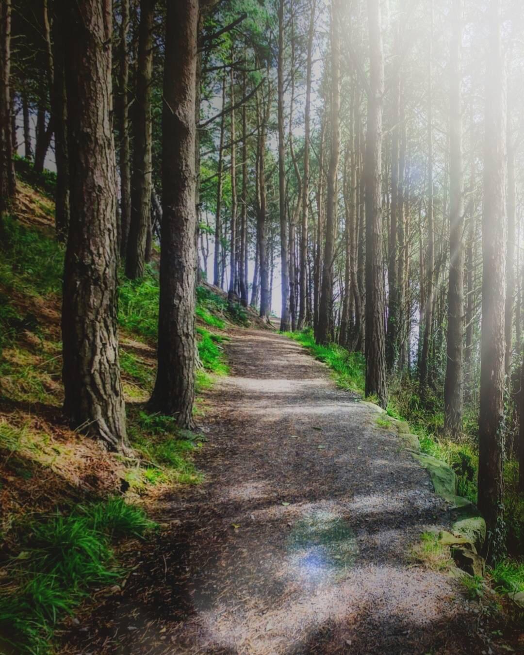 9 Family-friendly walking trails in Northern Ireland - Trek NI
