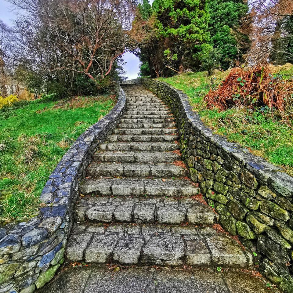 9 Family-friendly walking trails in Northern Ireland - Trek NI