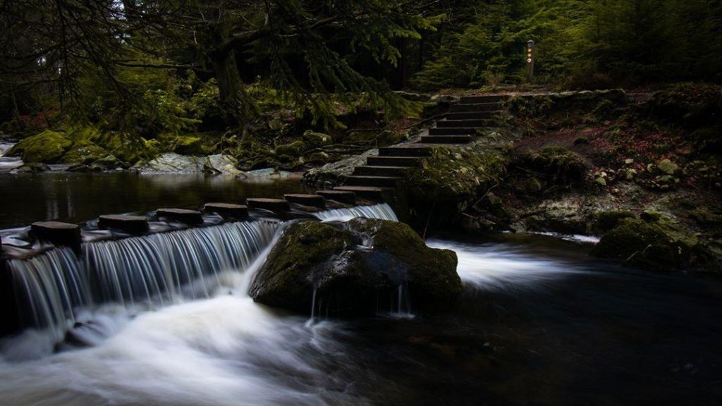 9 Family-friendly walking trails in Northern Ireland - Trek NI