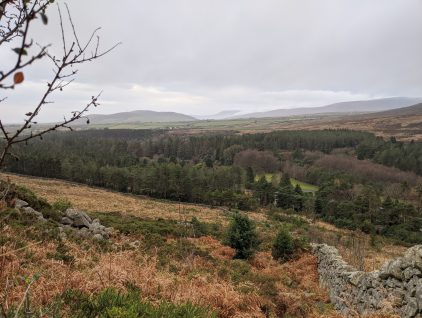 Moolieve and the Binnians - Trek NI