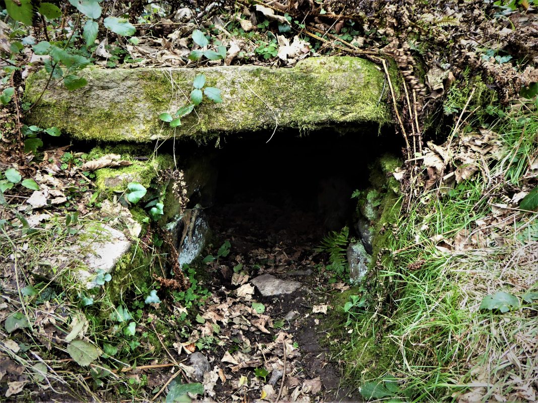 Walking the Borderlands - Trek NI