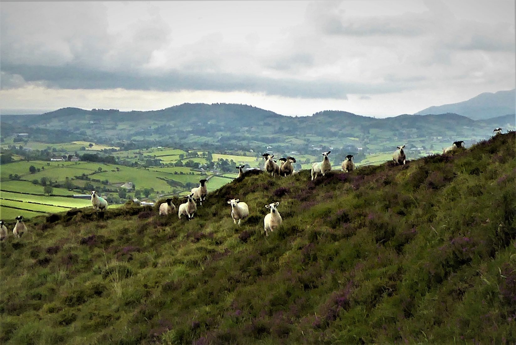 Slievenaboley and Cratlieve: Two Dromara Hills - Trek NI