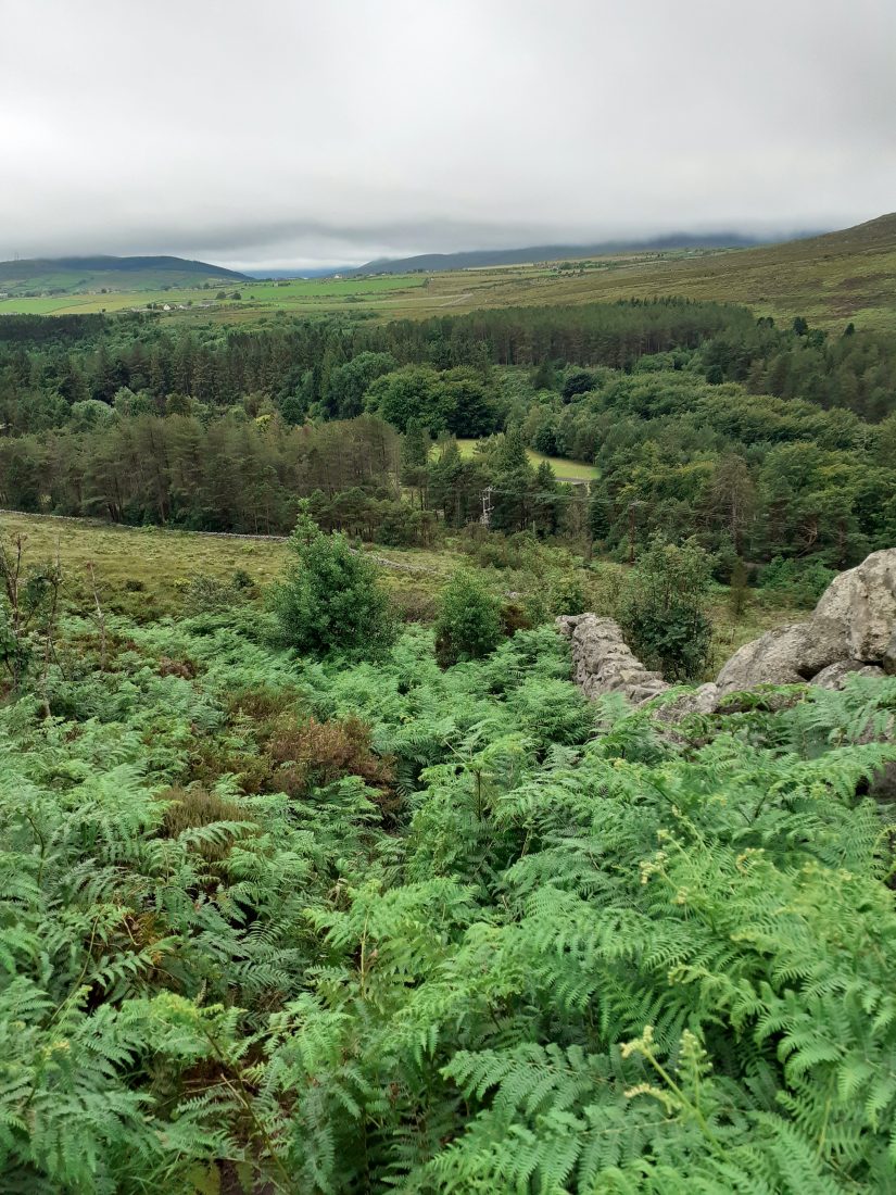 The Ups and Downs of the Mourne Wall Challenge - Trek NI