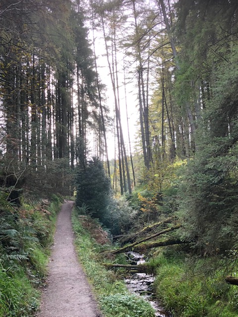 Gortin Glen Forest Park and Mullaghcarn - Trek NI