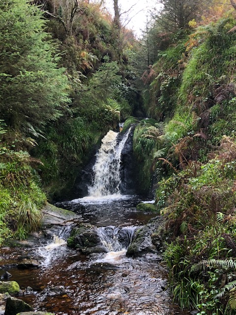 Gortin Glen Forest Park and Mullaghcarn - Trek NI