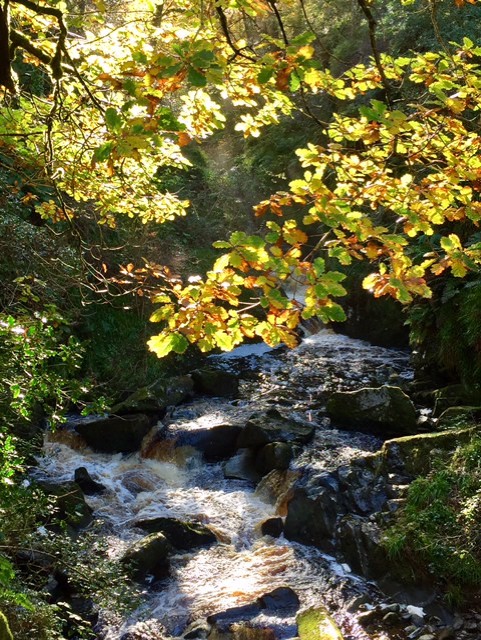 Banagher Glen and Altnaheglish Reservoir - Trek NI