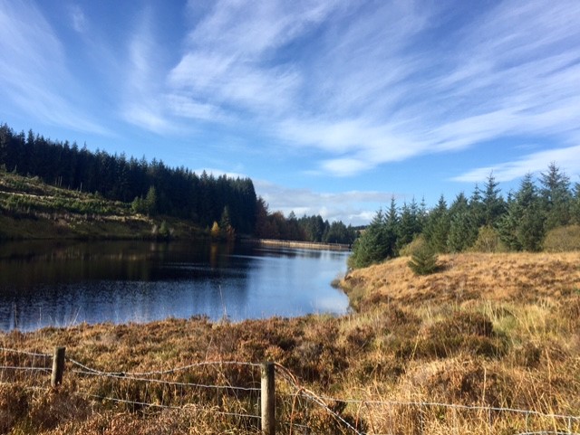 Banagher Glen and Altnaheglish Reservoir - Trek NI