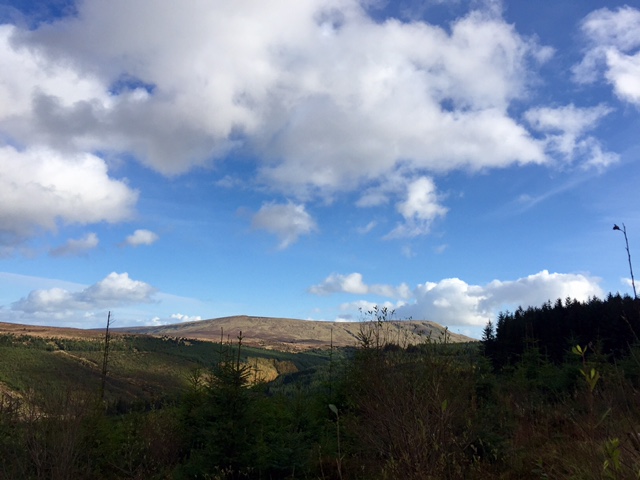 Banagher Glen and Altnaheglish Reservoir - Trek NI