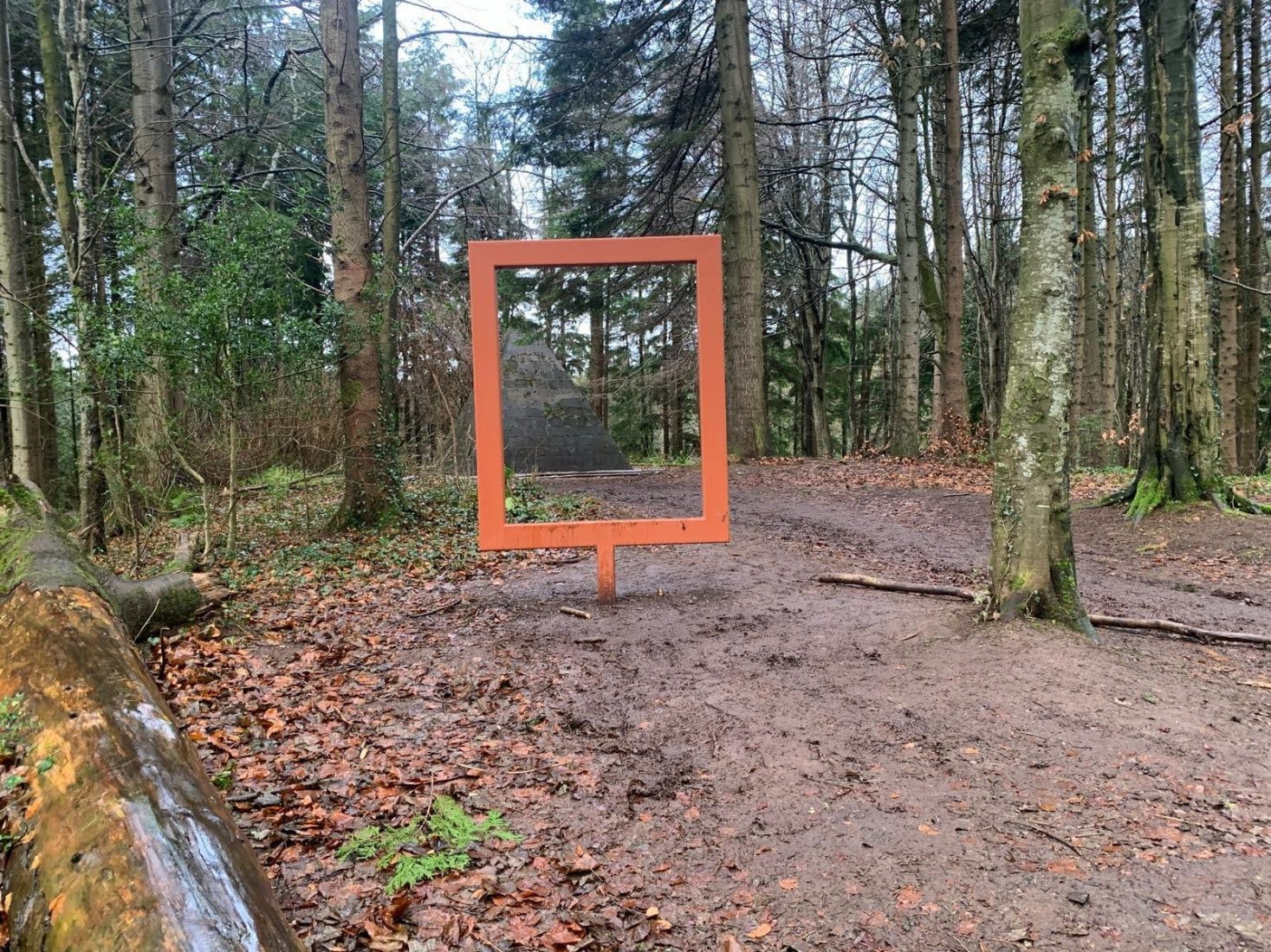 Snapshot Trek: Garvagh Forest - Trek NI