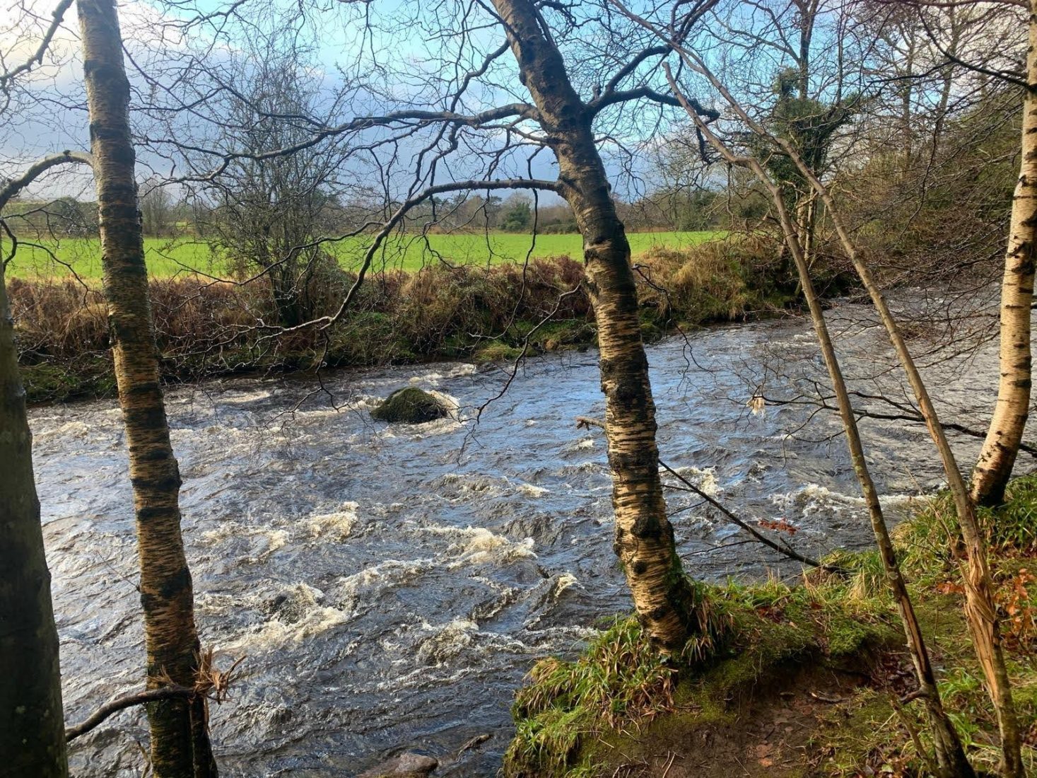 Snapshot Trek: Garvagh Forest - Trek NI