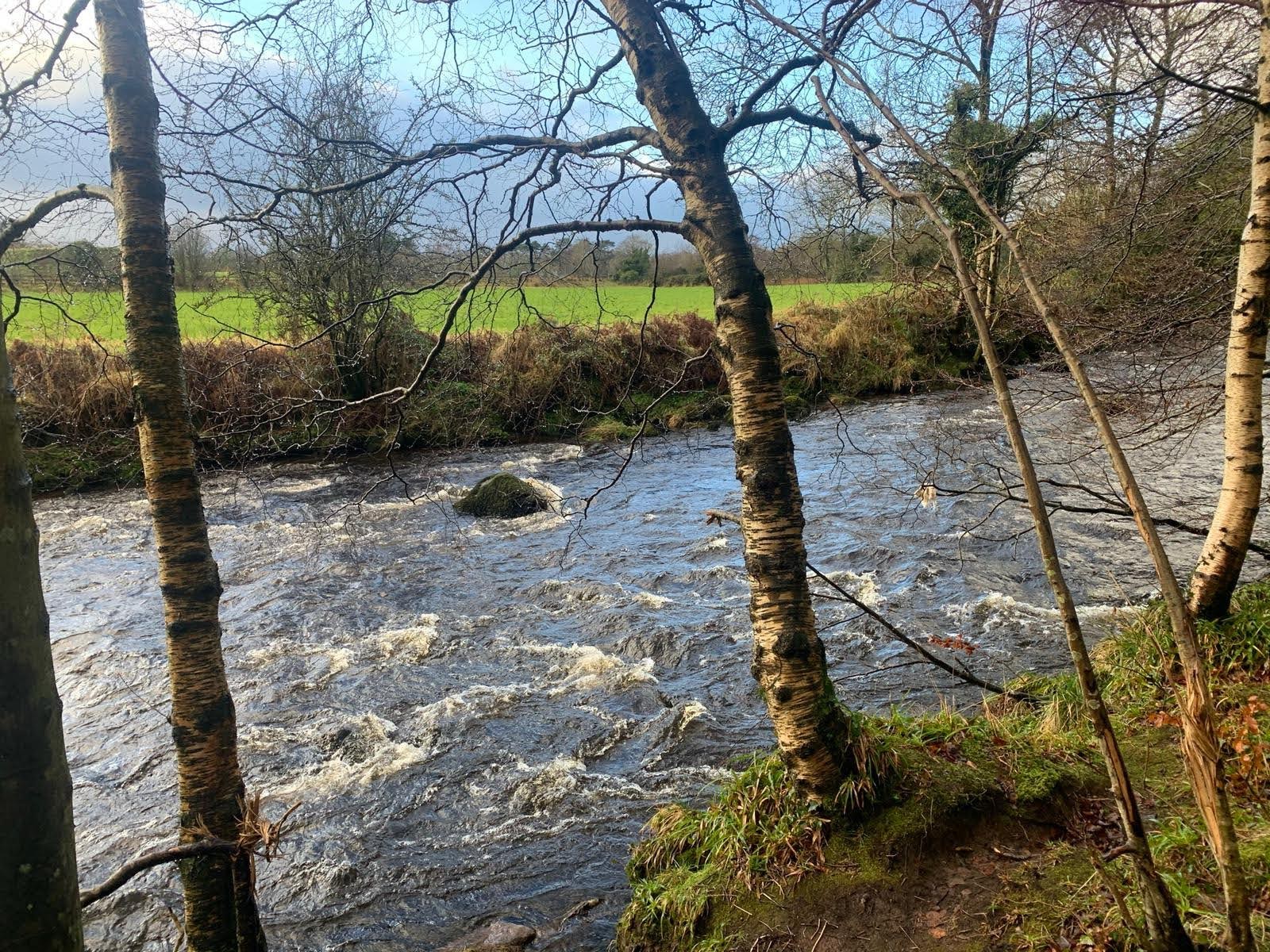 Snapshot Trek: Garvagh Forest - Trek NI