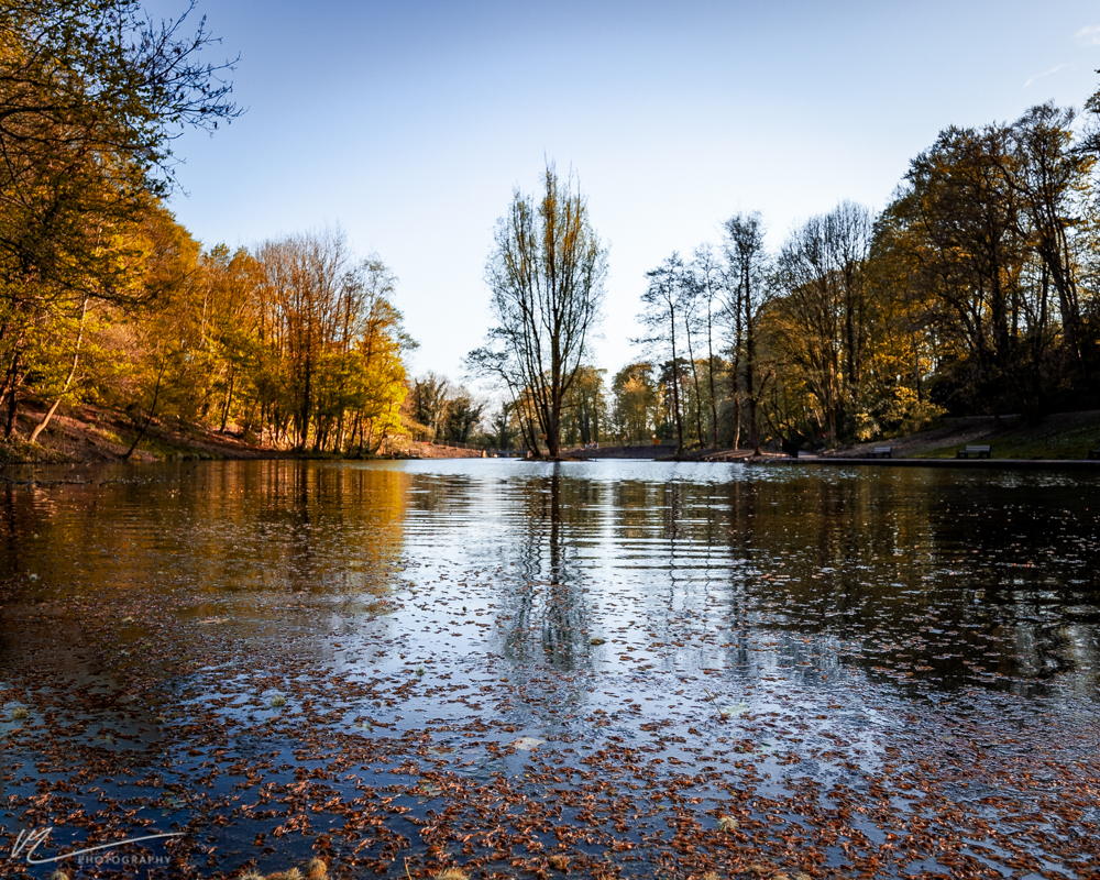 5 scenic walks around Lisburn - Trek NI