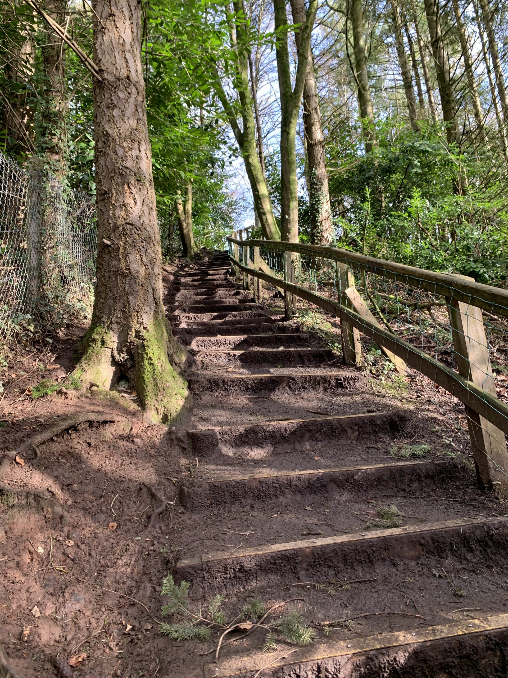 Exploring Crumlin Glen - Trek NI