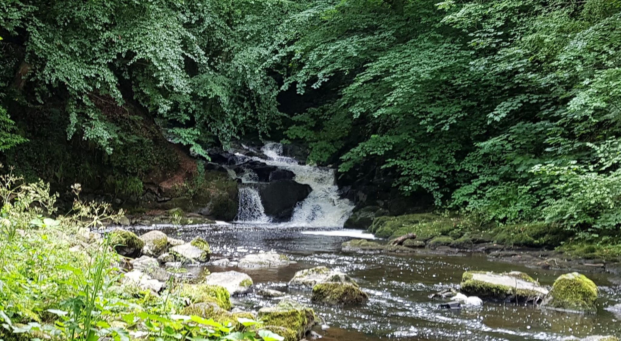 Exploring Crumlin Glen - Trek NI