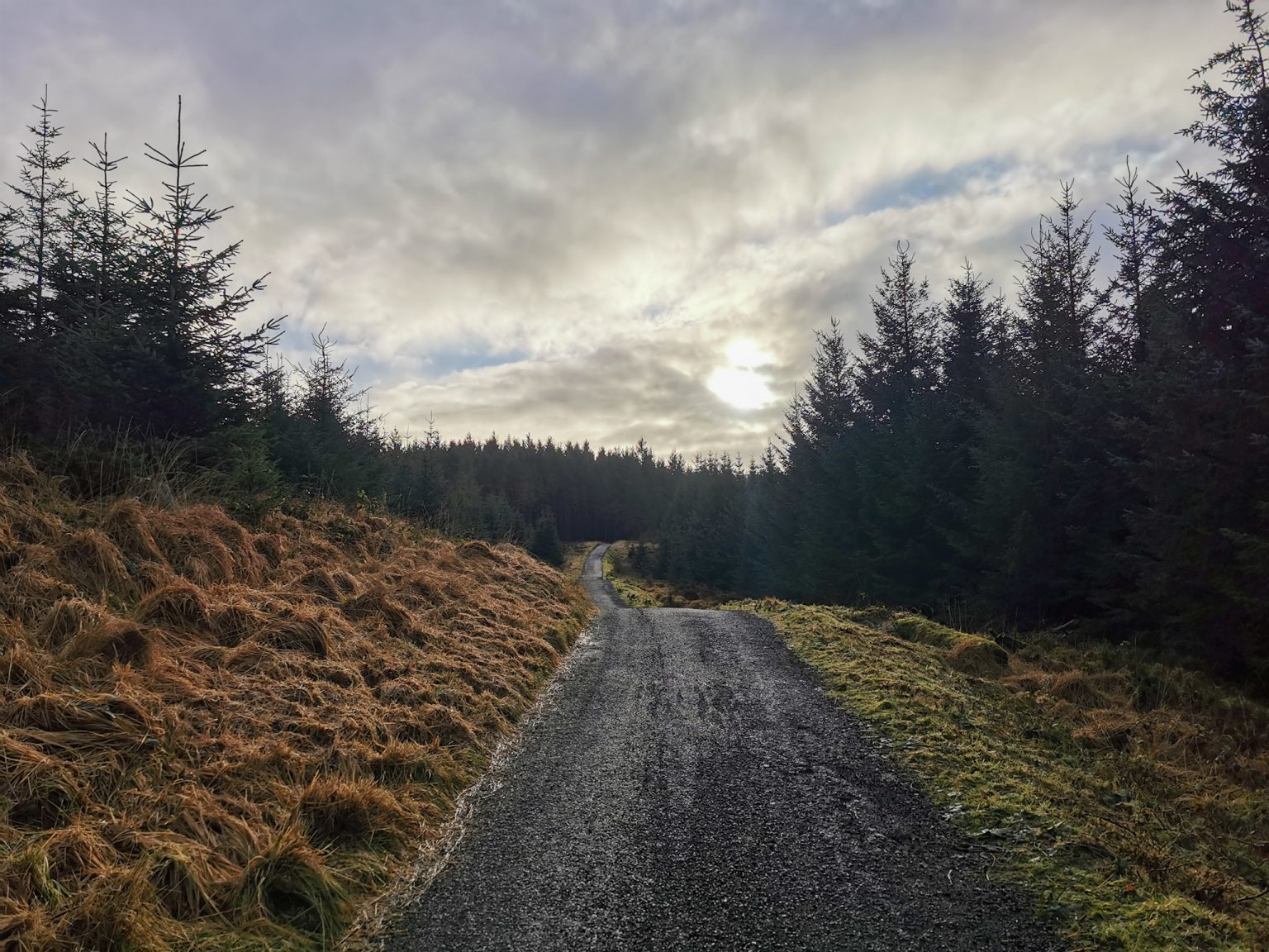 Davagh, Iniscarn and Moydamlaght Forests - Trek NI