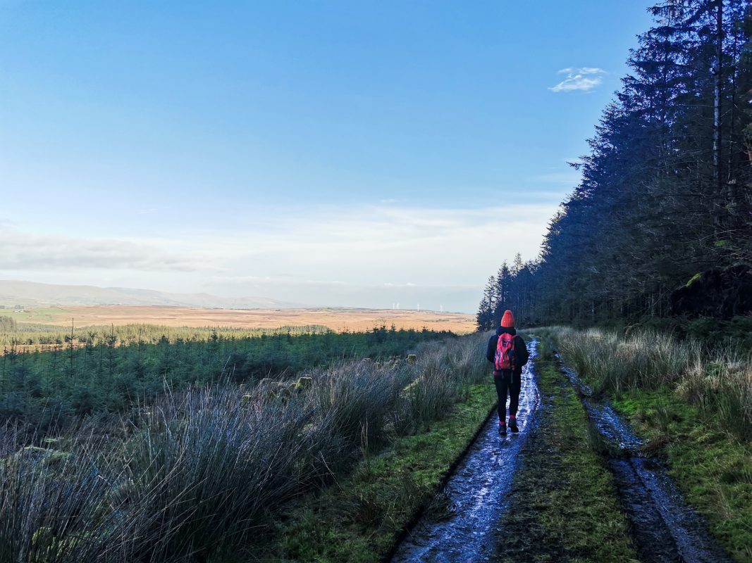 Davagh, Iniscarn and Moydamlaght Forests - Trek NI