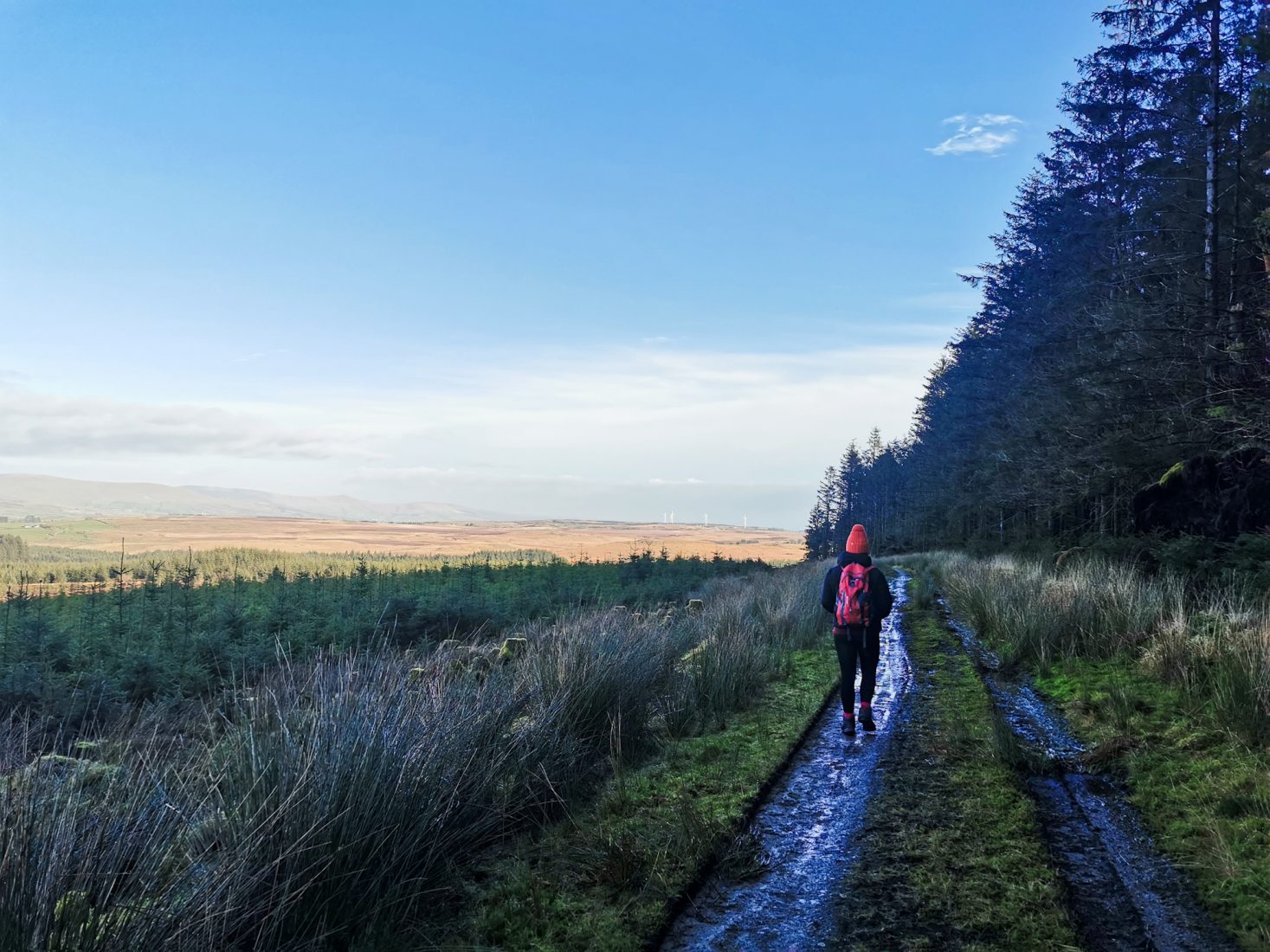 Davagh, Iniscarn and Moydamlaght Forests - Trek NI