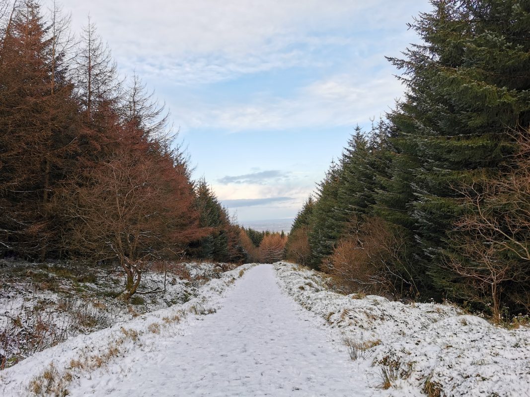 Davagh, Iniscarn and Moydamlaght Forests - Trek NI