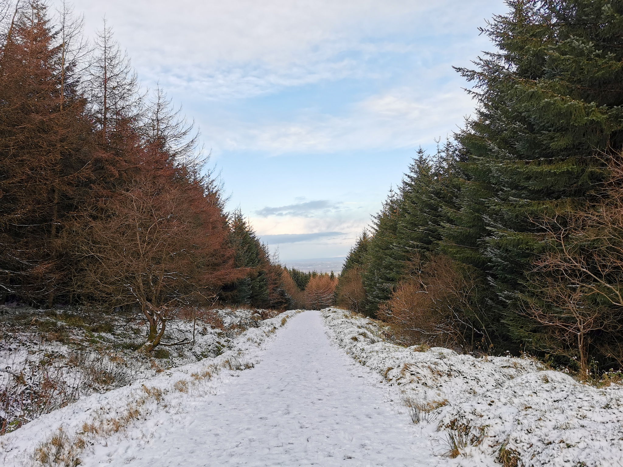Davagh, Iniscarn and Moydamlaght Forests - Trek NI