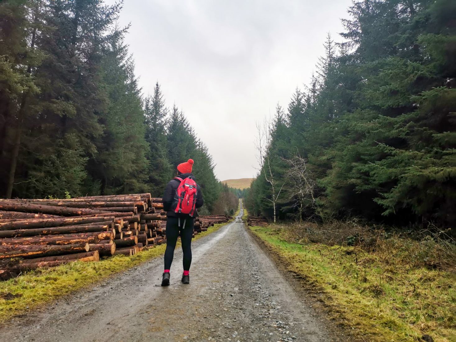 Davagh, Iniscarn and Moydamlaght Forests - Trek NI