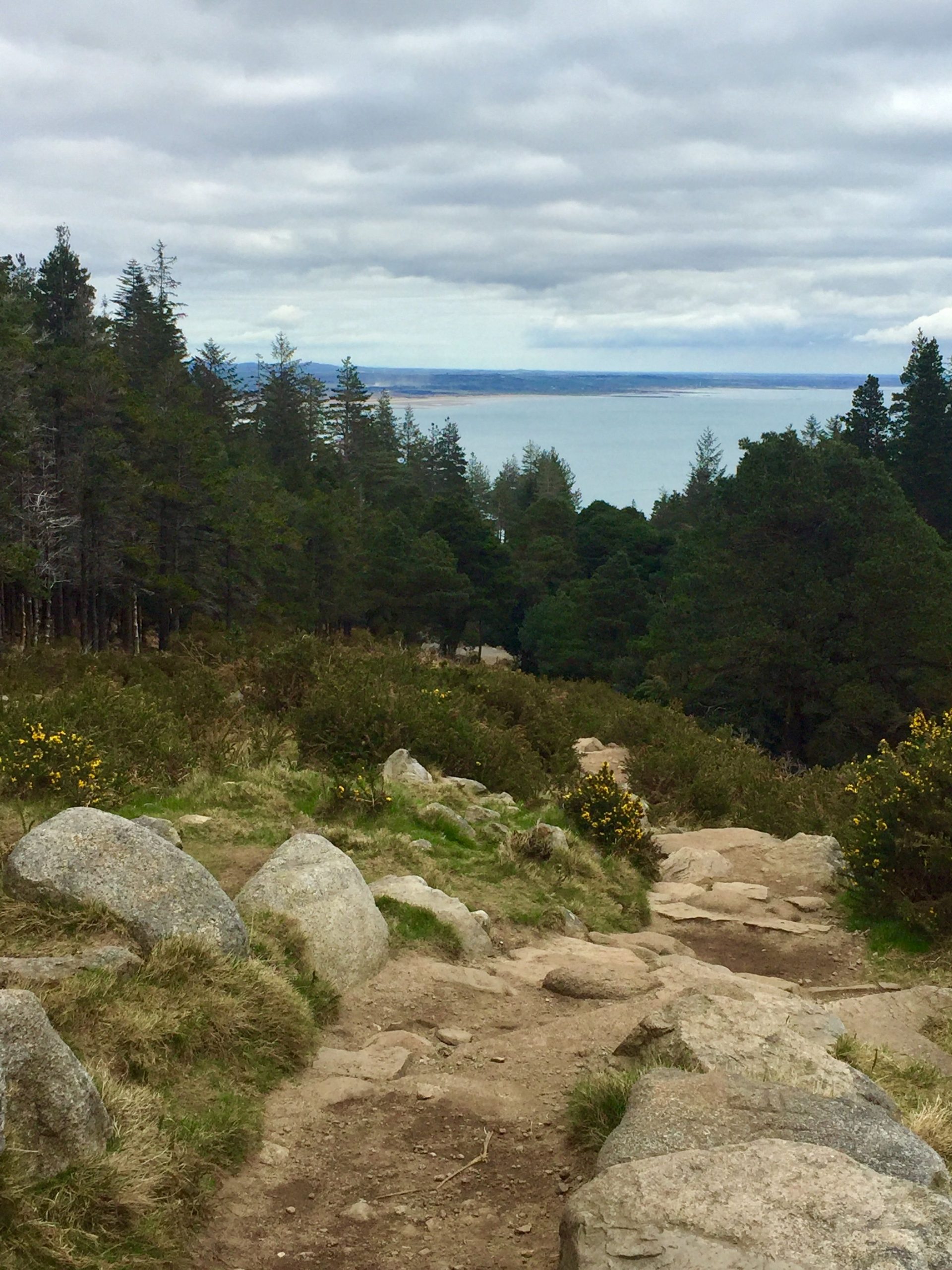 To Commedagh and Beyond: A Brandy Pad Loop - Trek NI