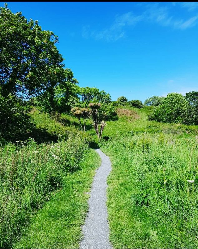 Orlock Point: A Peaceful Haven on the Coast - Trek NI