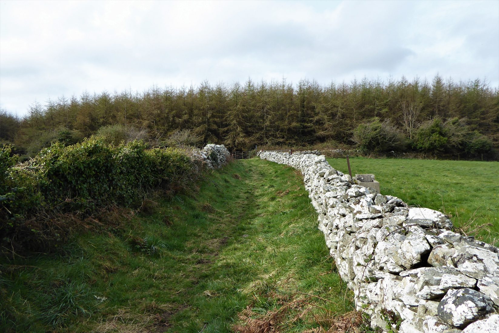 The Lough Money Loop - Trek NI