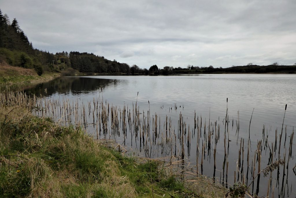 The Lough Money Loop - Trek NI