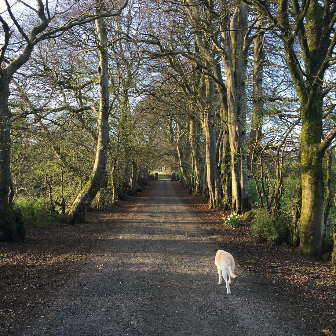 Breckenhill: a beautiful, action-packed outdoor venue - Trek NI
