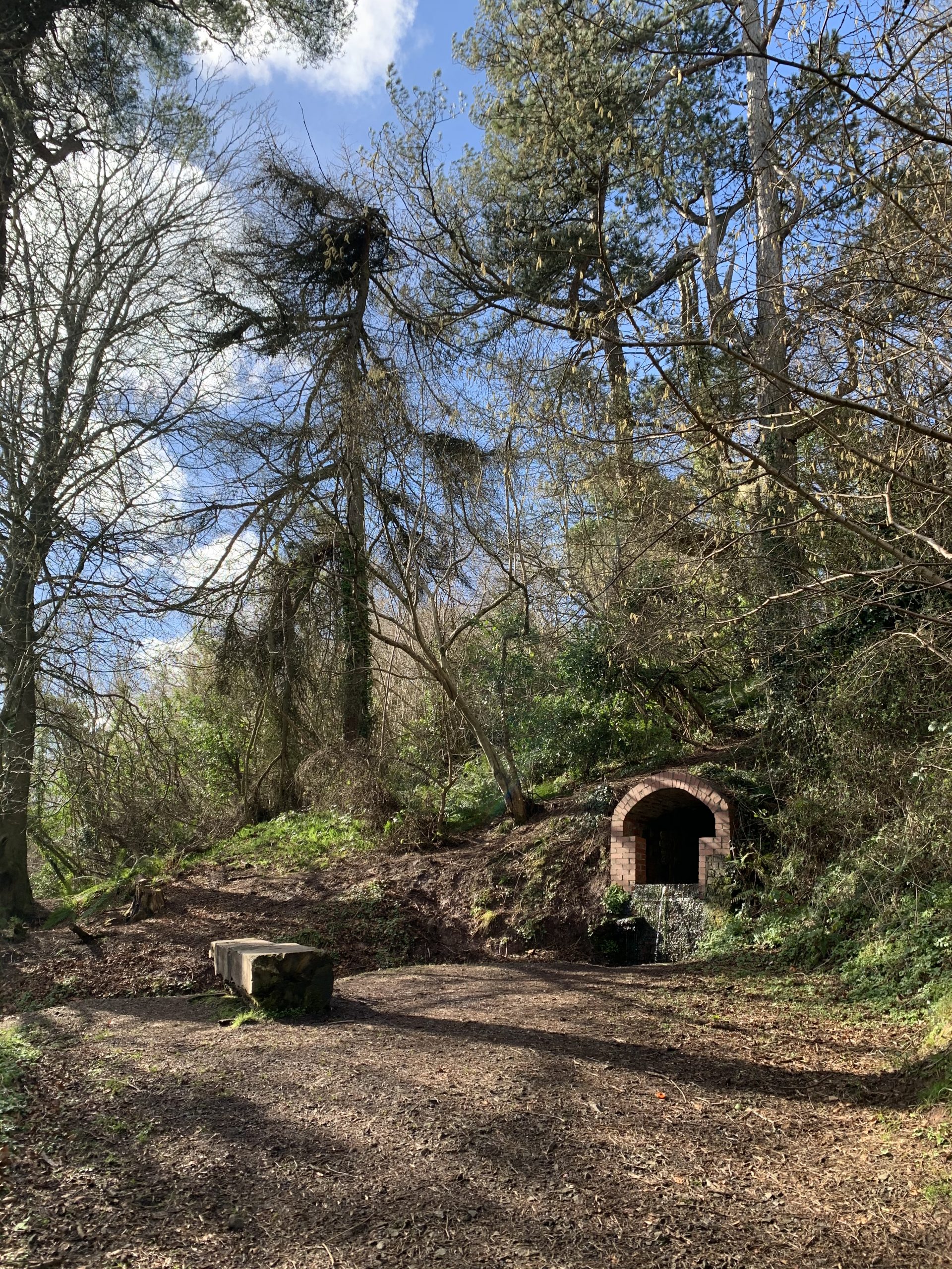 5 Great Forest Trails in Belfast - Trek NI