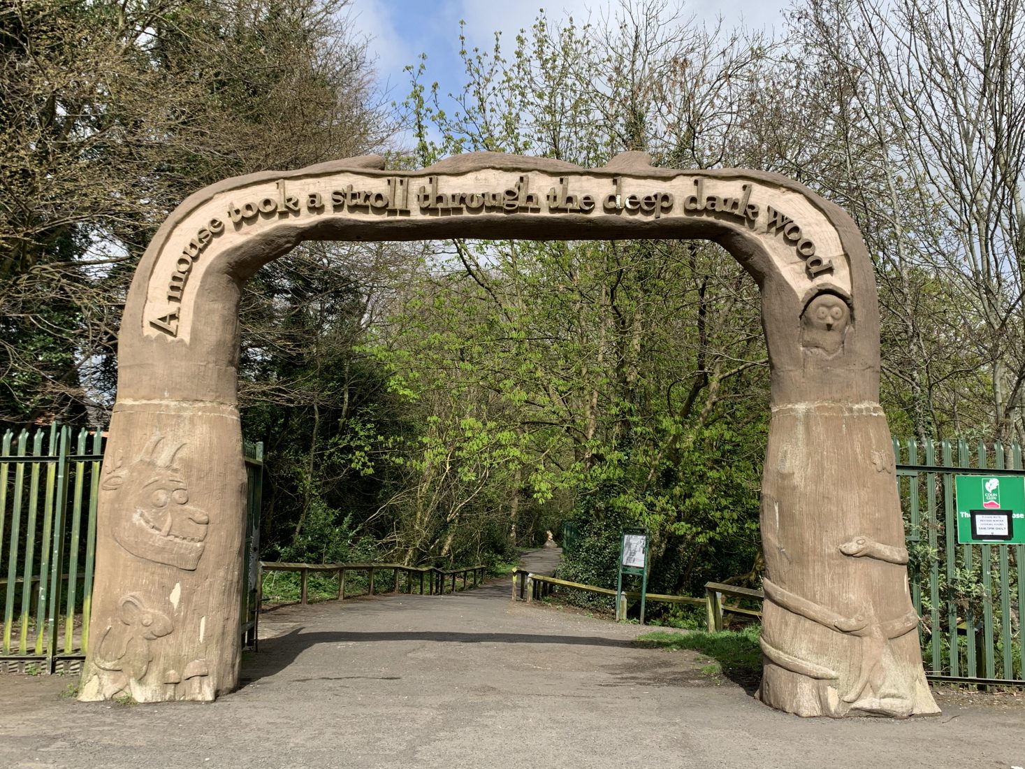 5 Great Forest Trails in Belfast - Trek NI