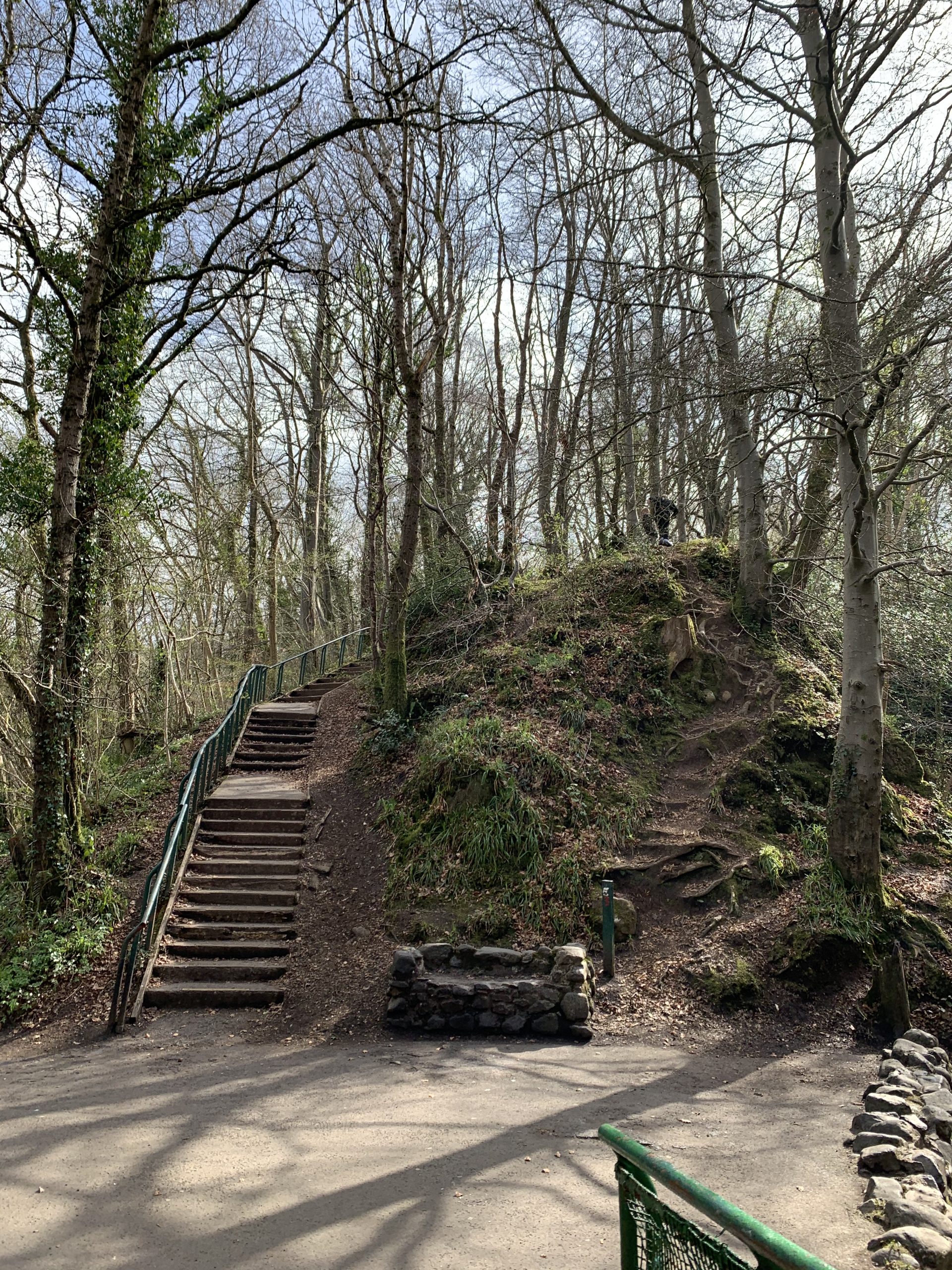 5 Great Forest Trails in Belfast - Trek NI