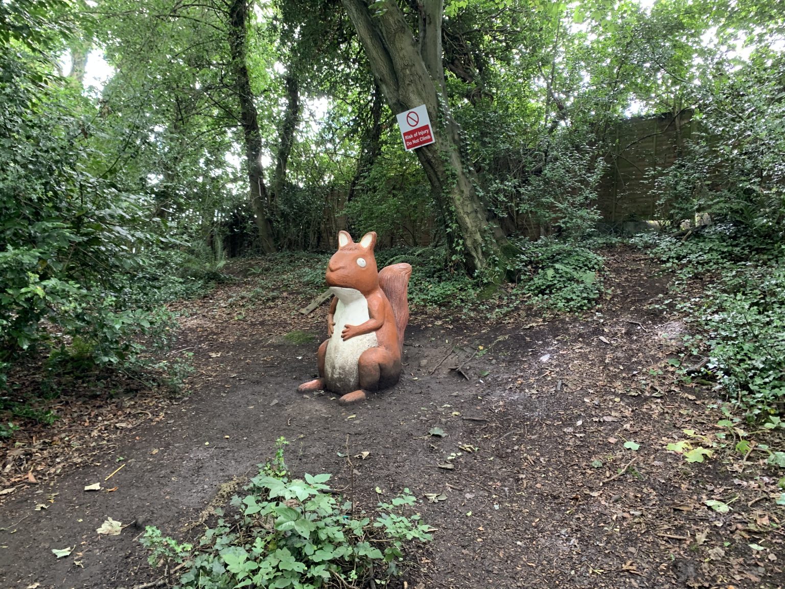 5 Great Forest Trails in Belfast - Trek NI