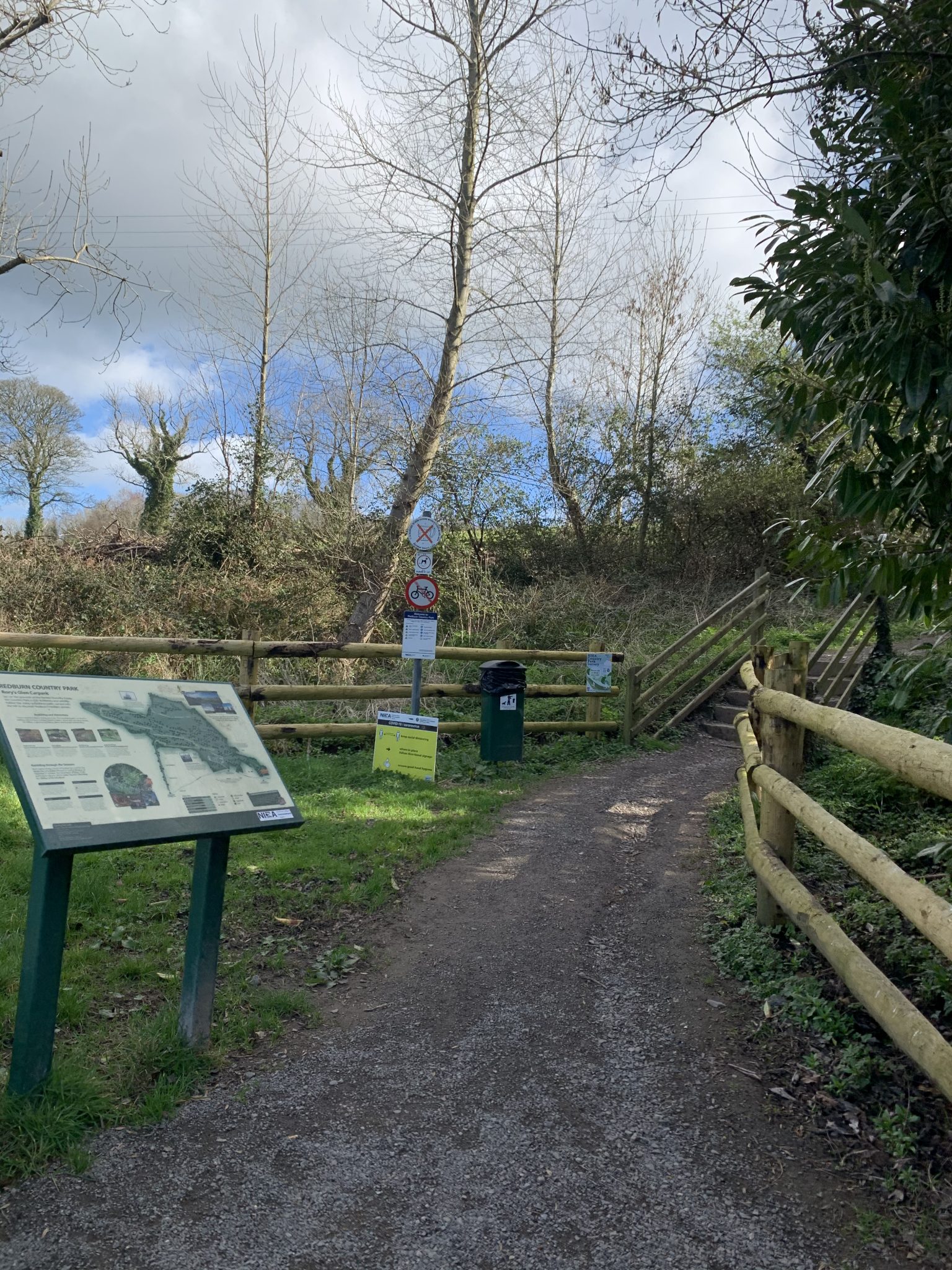 5 Great Forest Trails in Belfast - Trek NI