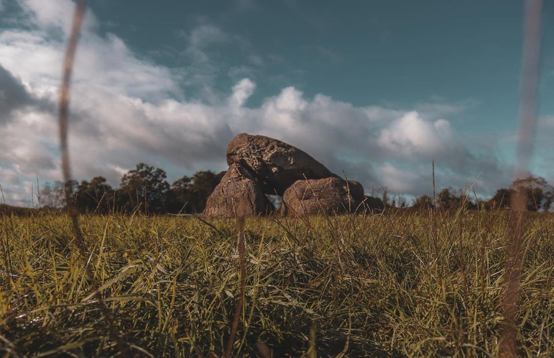 Sloe Picking at the Giant's Ring, Ballynahatty - Trek NI