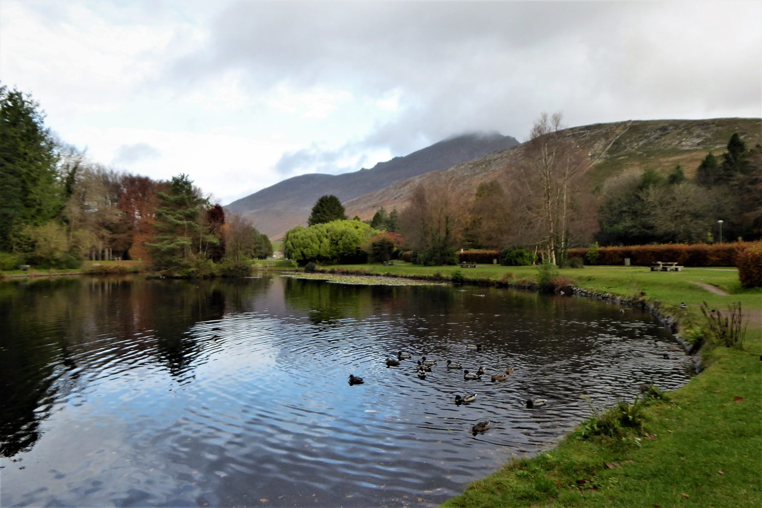 Slieve Binnian via Moolieve and Wee Binnian - Trek NI