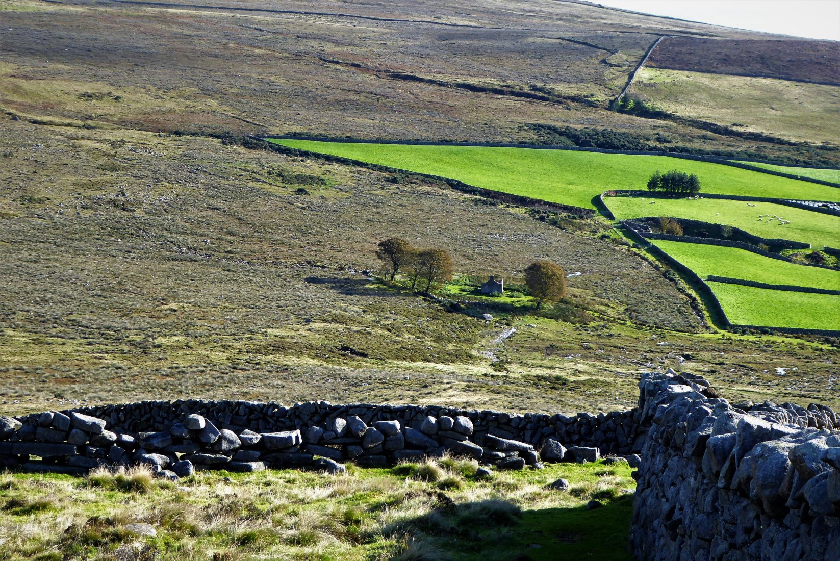 Slieve Binnian via Moolieve and Wee Binnian - Trek NI