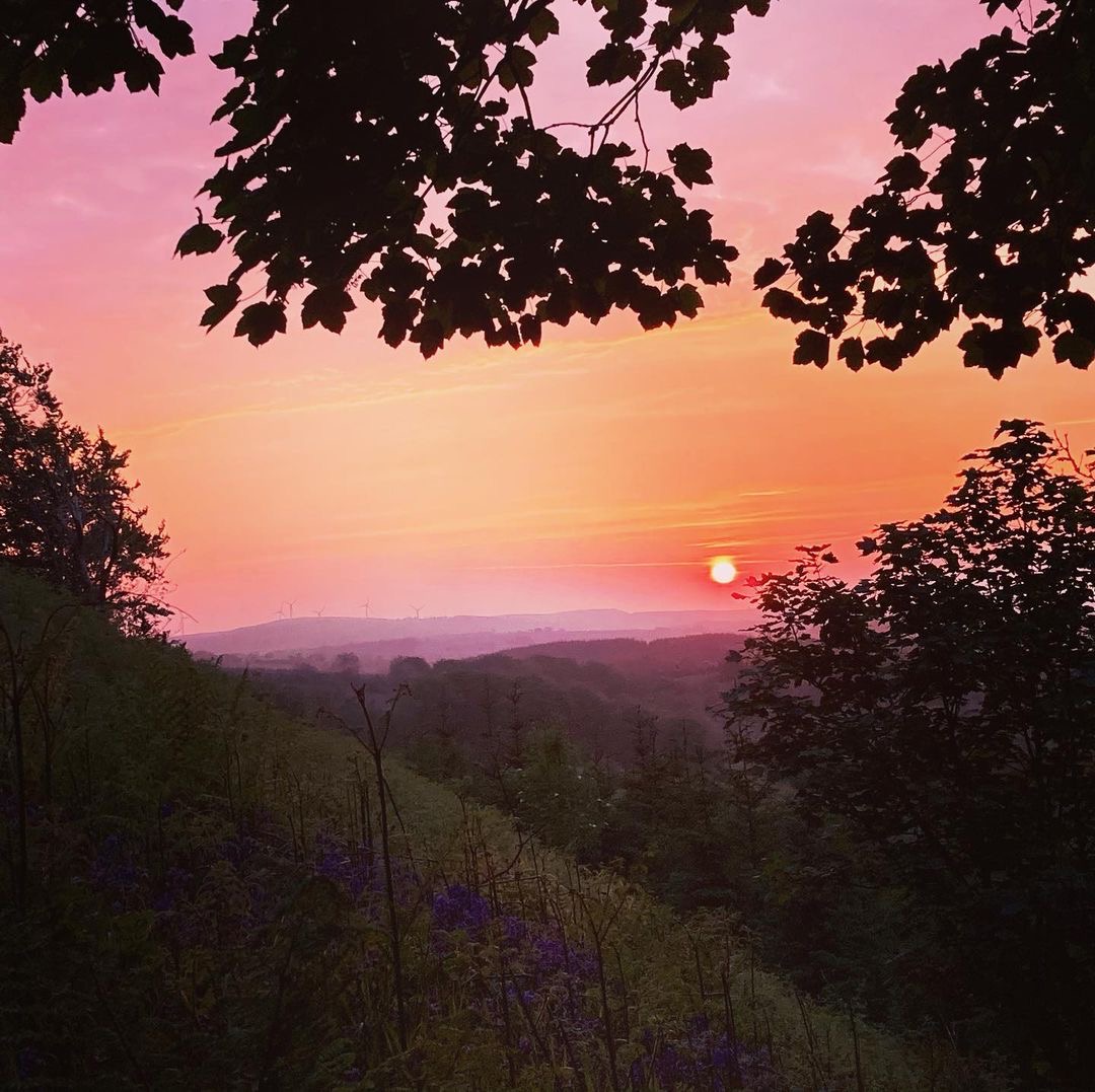 Feel on top of the world at Knockmany Forest Park - Trek NI