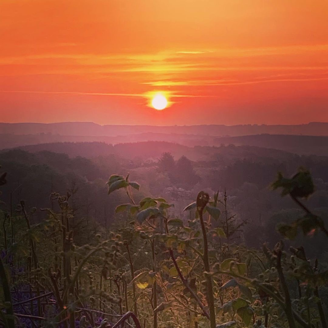 Feel on top of the world at Knockmany Forest Park - Trek NI