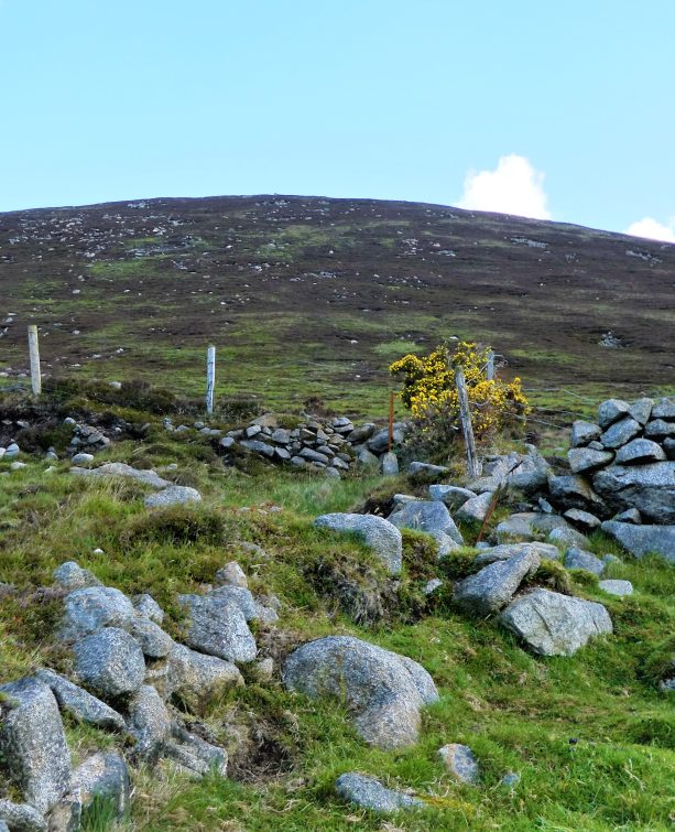 Hiking the Mournes Big Eight - Trek NI