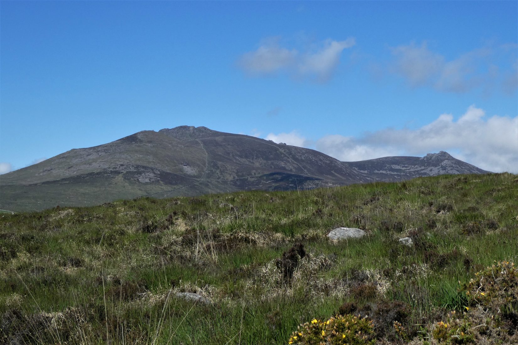Spence’s Mountain Loop - Trek NI