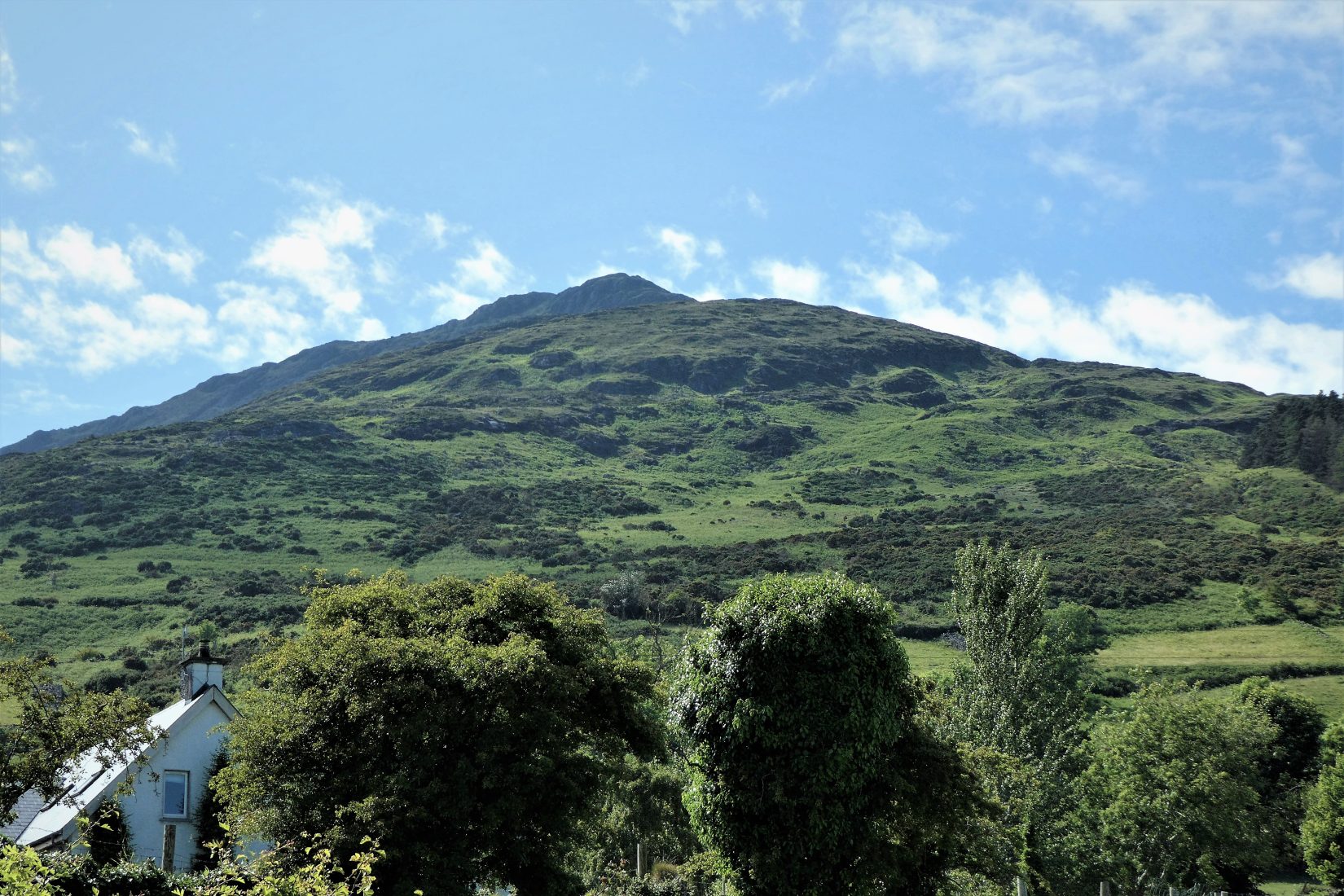 Slieve Foye, County High Point of Louth - Trek NI