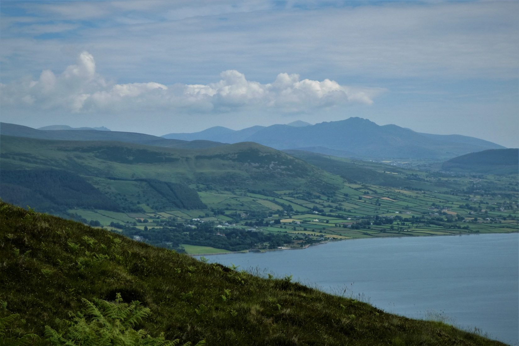 Slieve Foye, County High Point of Louth - Trek NI